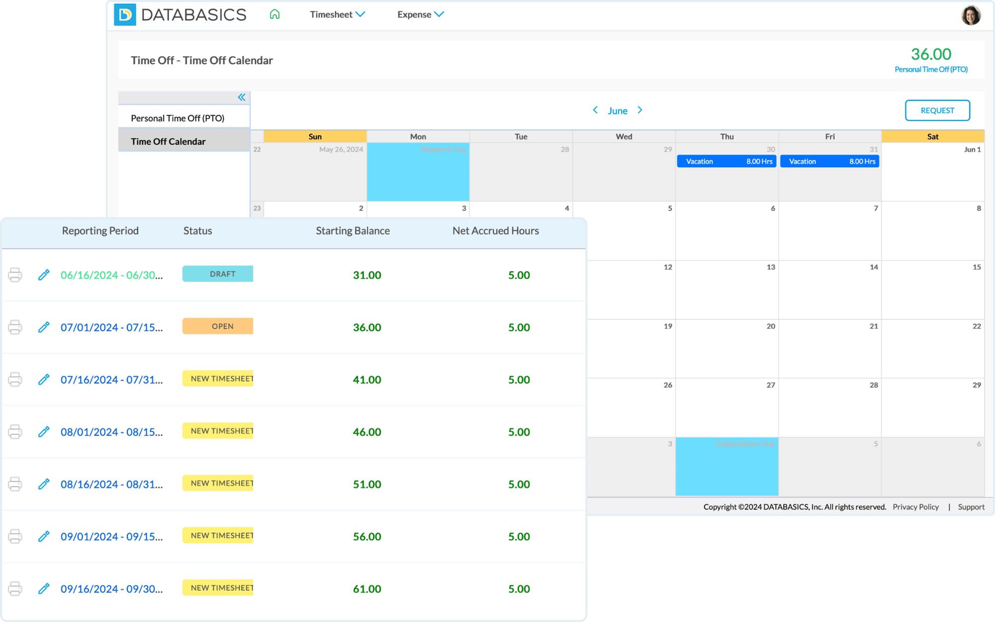 Time Tracking Software for Sage Intacct, NetSuite, MS Dynamics | DATABASICS | DATABASICS